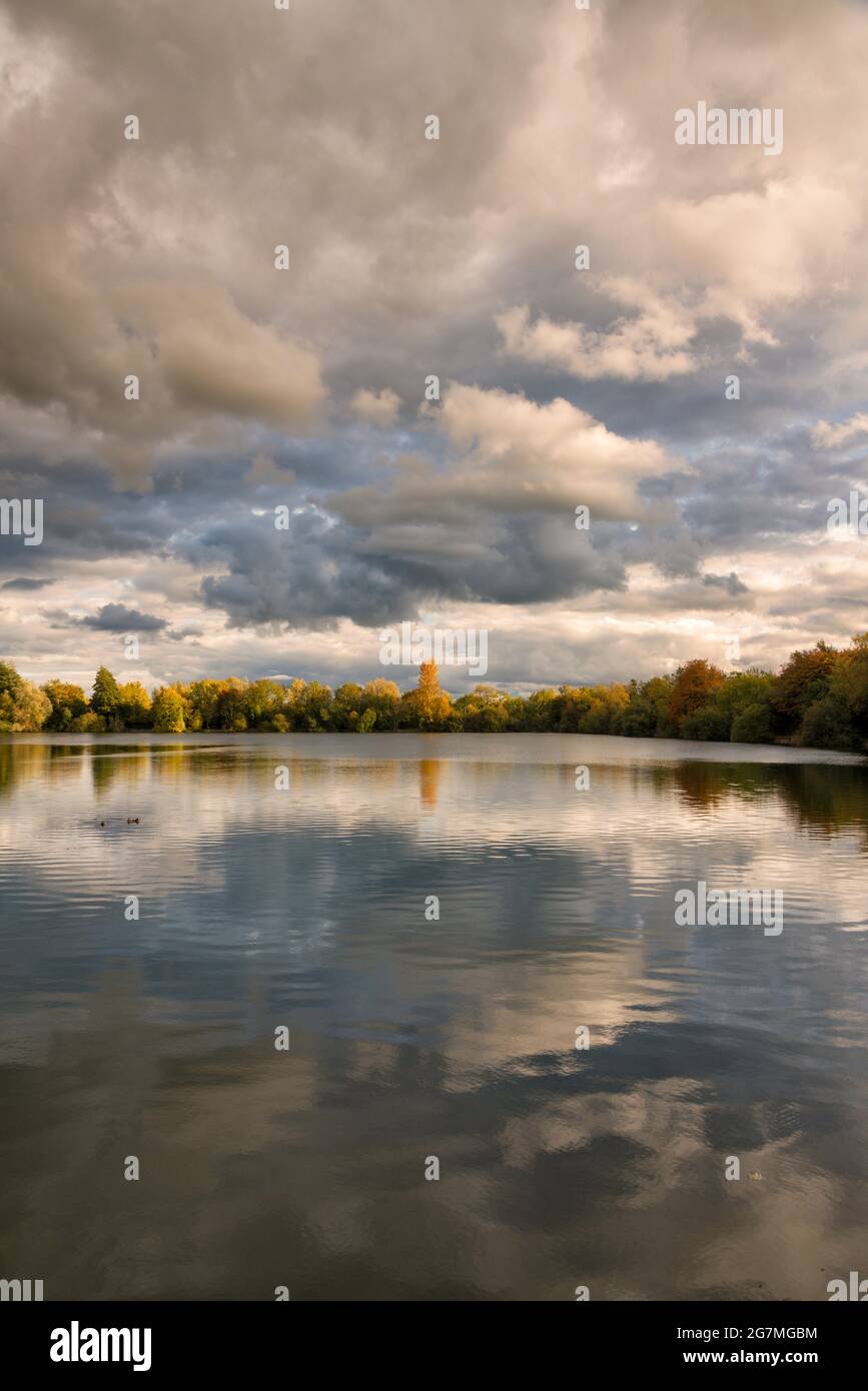 View across the lake at Neighbridge Country Park in the Cotswold Water ...