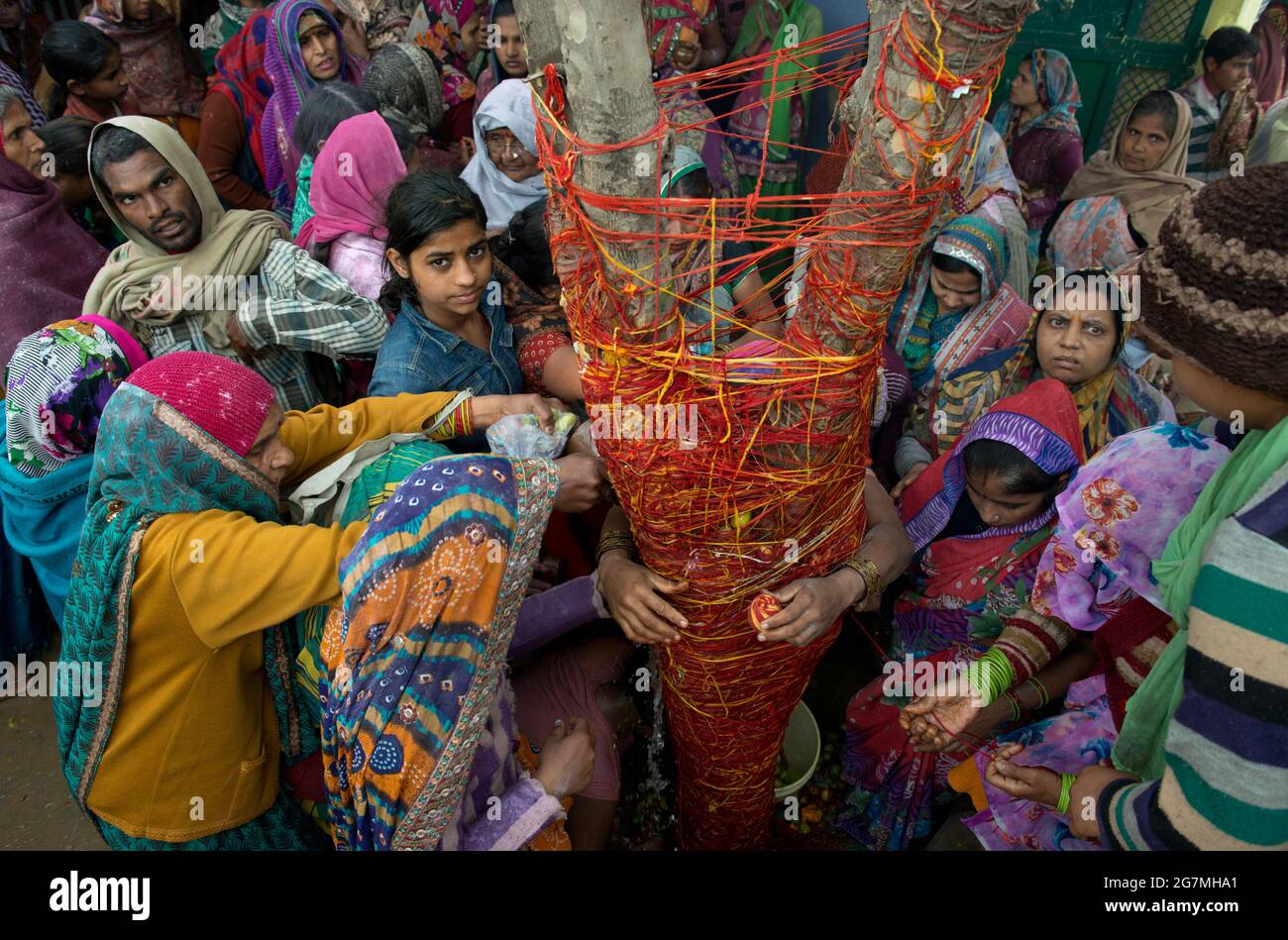 Revellers celebrate Holi in Vrindvan,performing rituals around a sacred ...