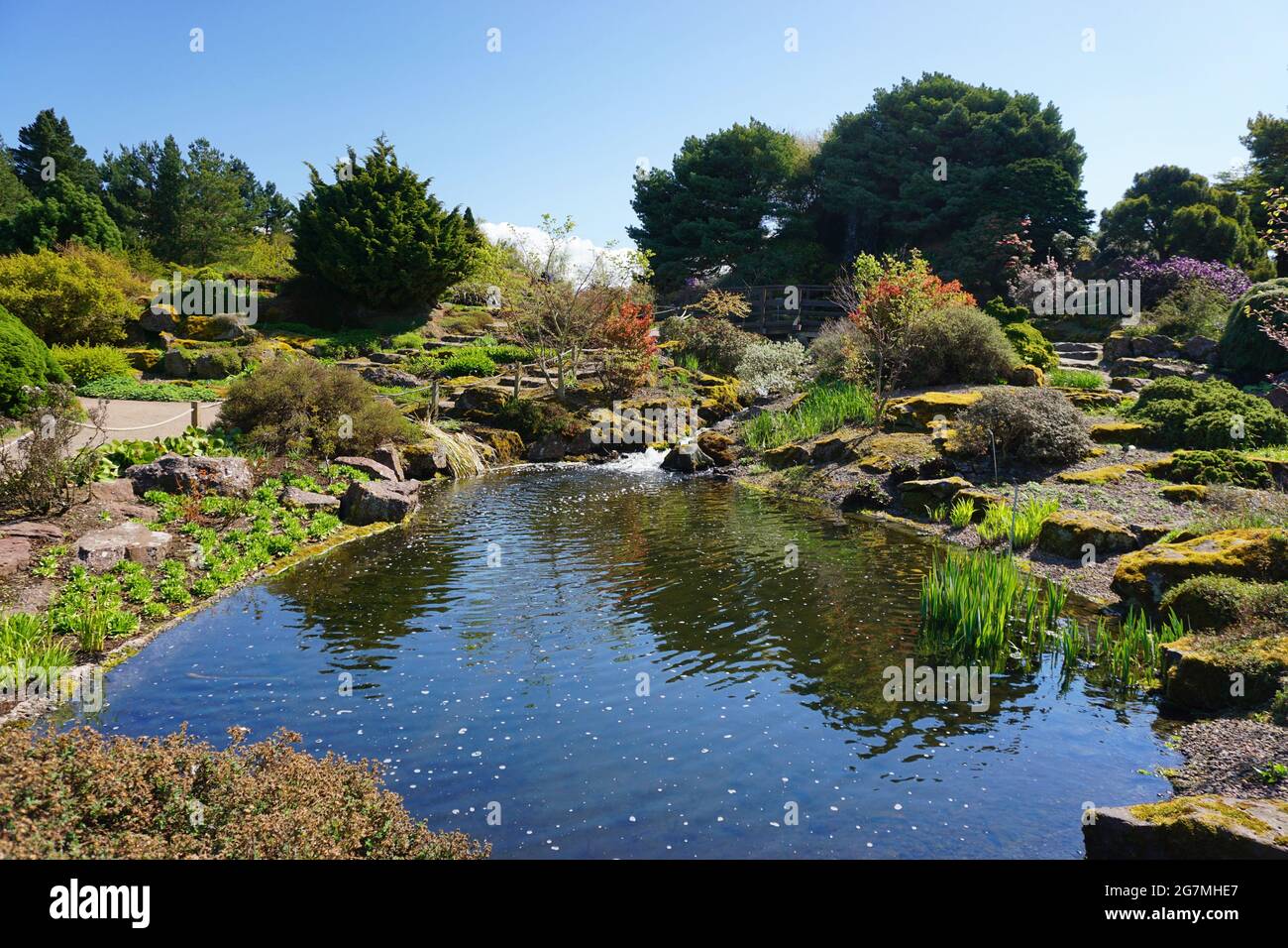 Edinburgh botanical gardens Stock Photo - Alamy