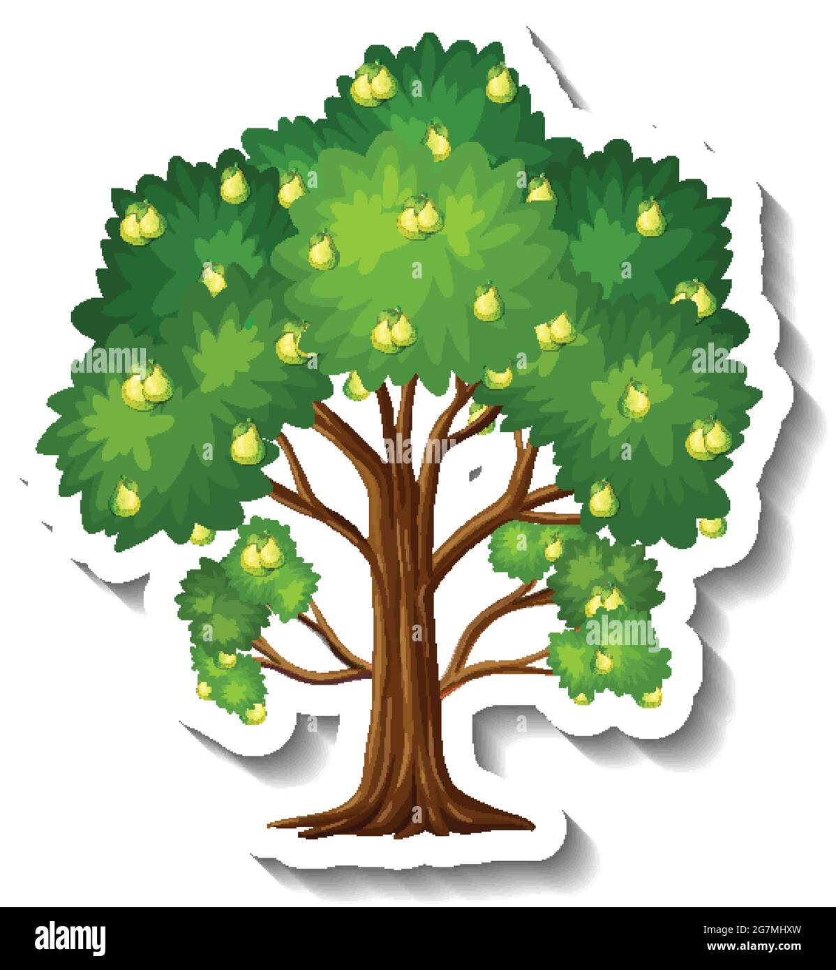 Pear tree outside Cut Out Stock Images & Pictures - Alamy