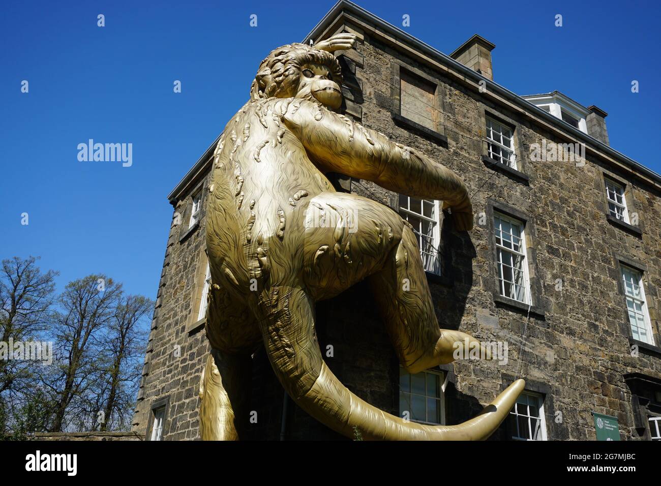 Edinburgh botanical gardens Stock Photo - Alamy