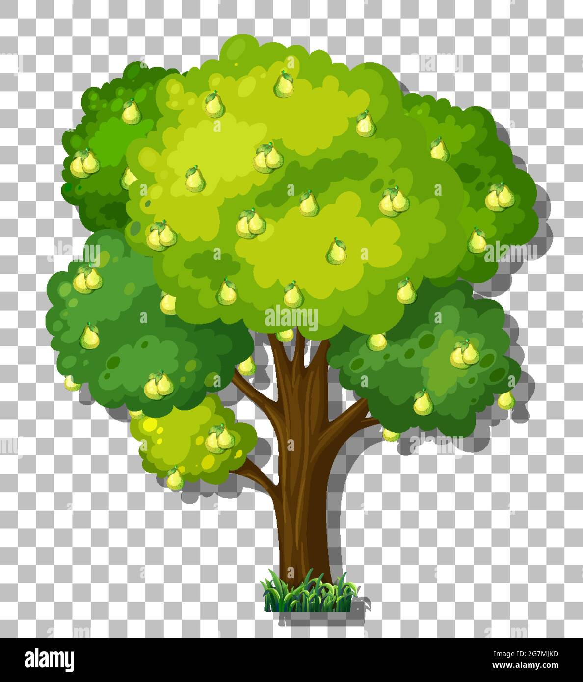 Pear Tree Clipart