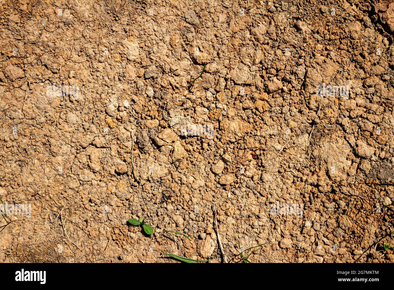 Abstract ground texture with clumps. Soil background Stock Photo - Alamy