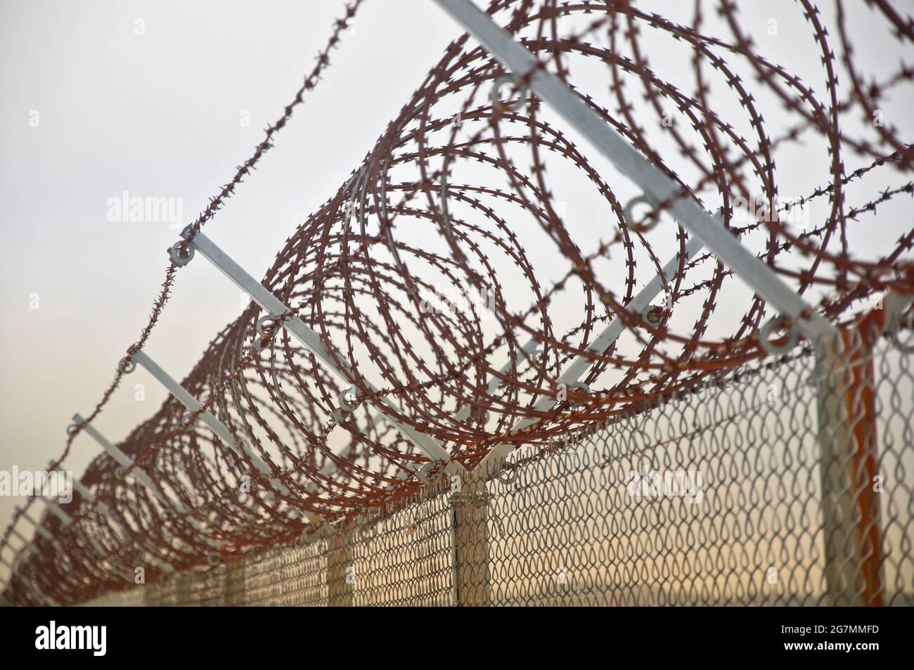 Closeup photo of a barbed wire fence Stock Photo - Alamy