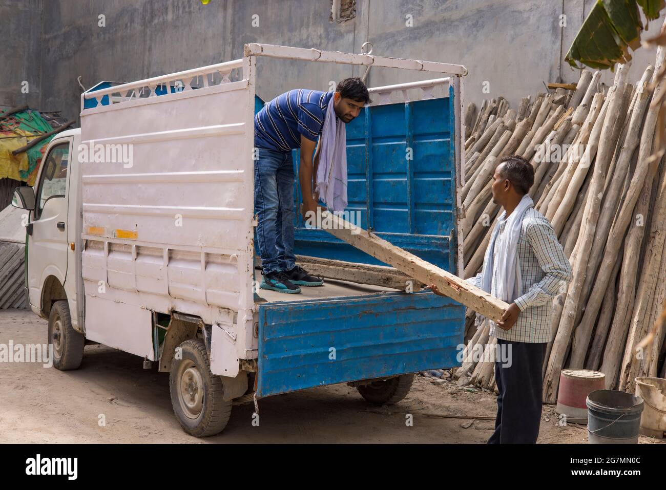 TWO WORKERS TOGETHER UNLOADING A TRUCK WITH WOODEN POLES Stock Photo ...