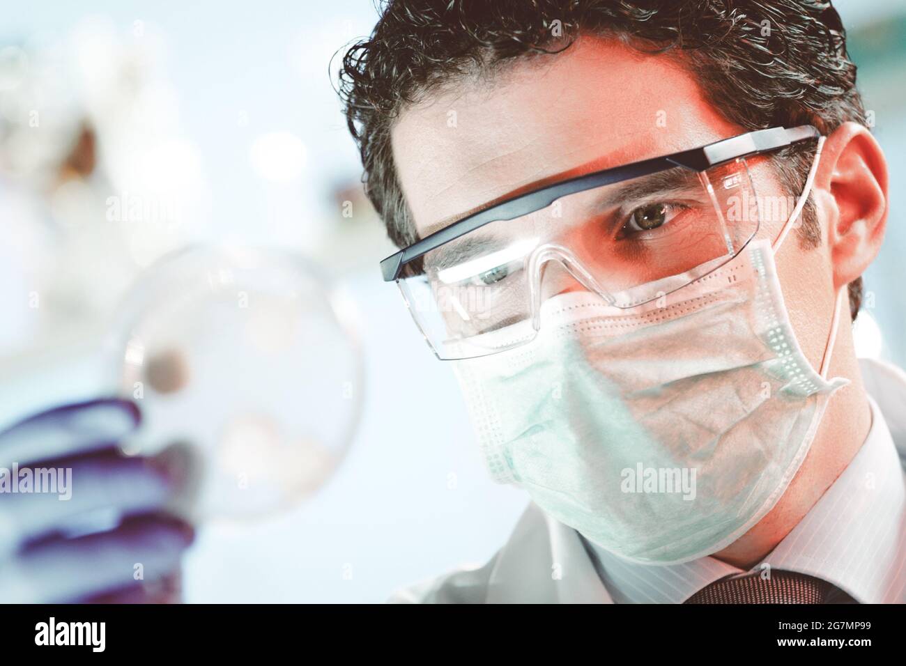 Scientist observing petri dish Stock Photo - Alamy