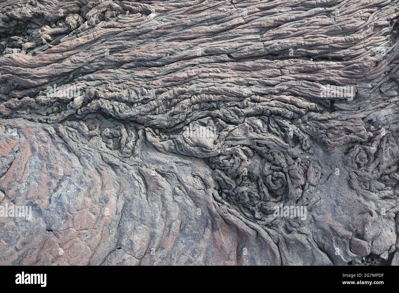 Closeup of the bumpy rough gray volcanic rock texture in the beach in ...