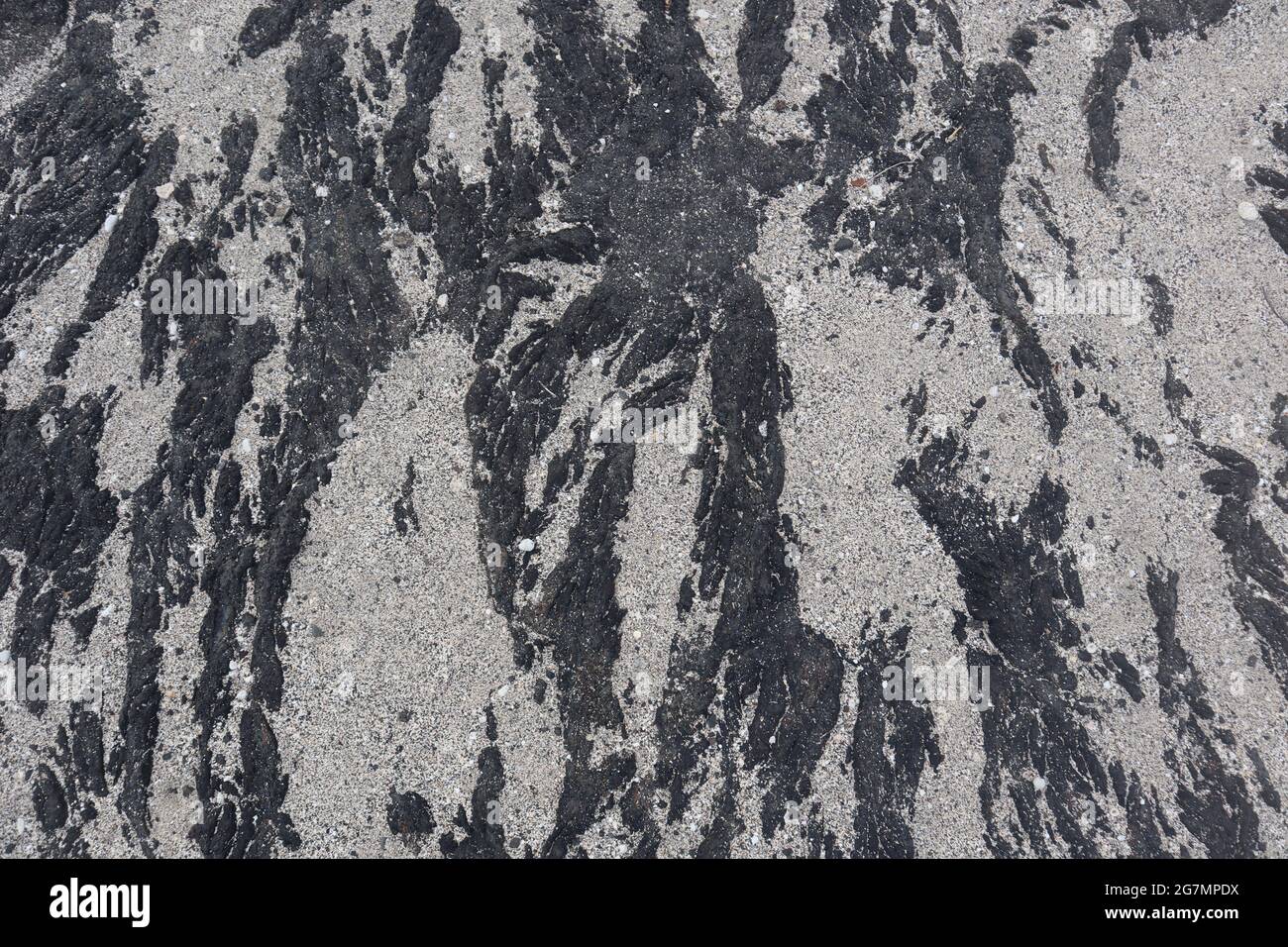 Closeup of the bumpy rough gray volcanic rock texture in the beach in ...