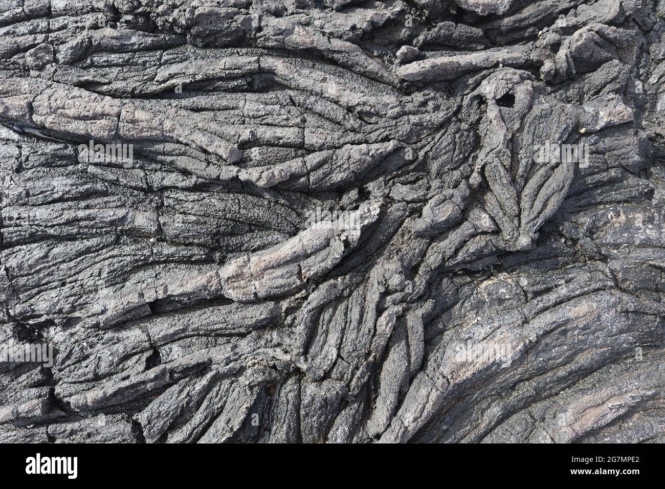Closeup of the bumpy rough gray volcanic rock texture in the beach in ...
