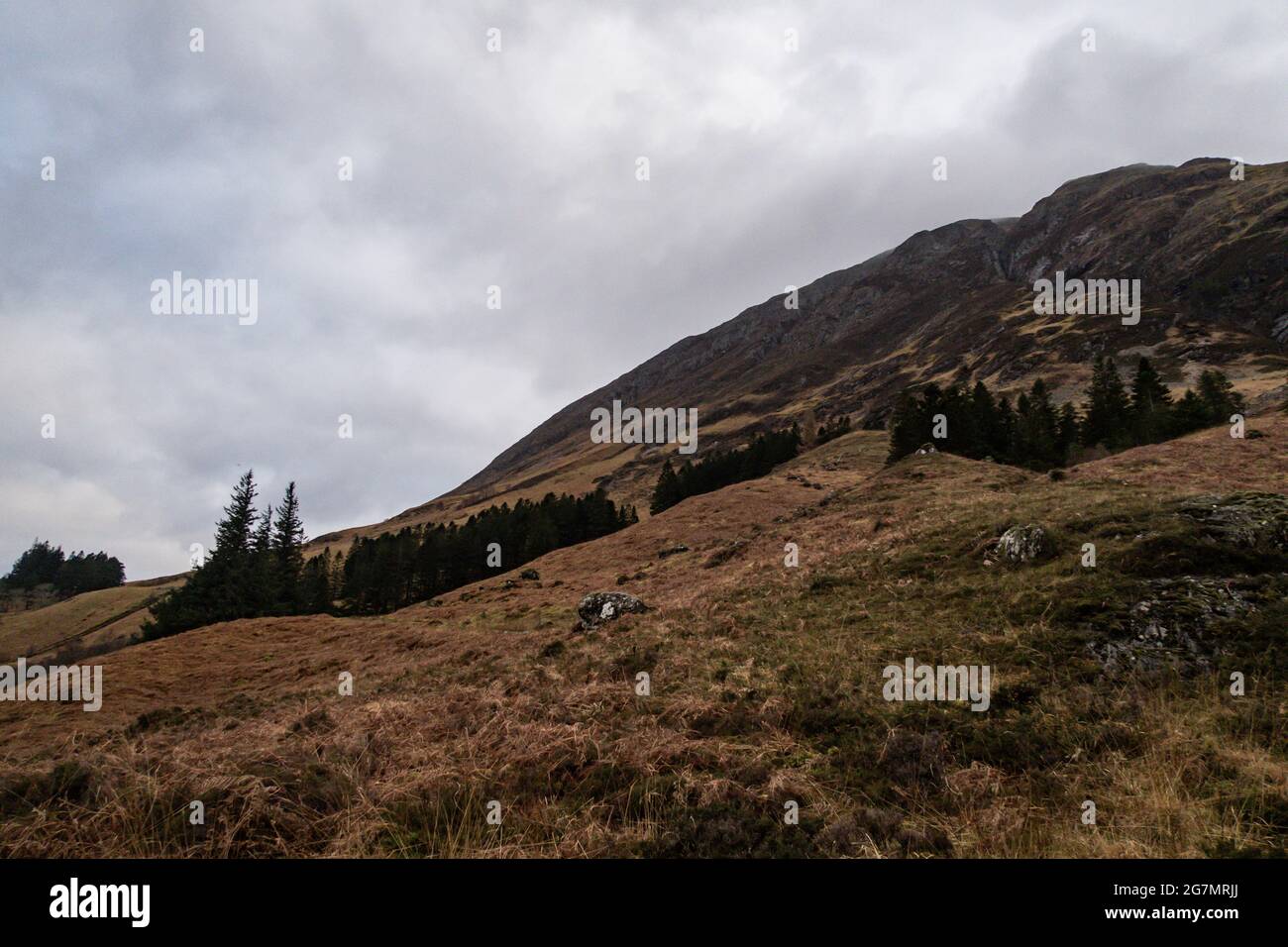 Scottish highlands scenic landscape nature autumn winter Stock Photo ...