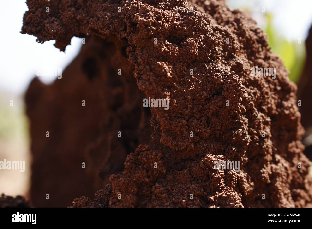 Ants building house hi-res stock photography and images - Alamy