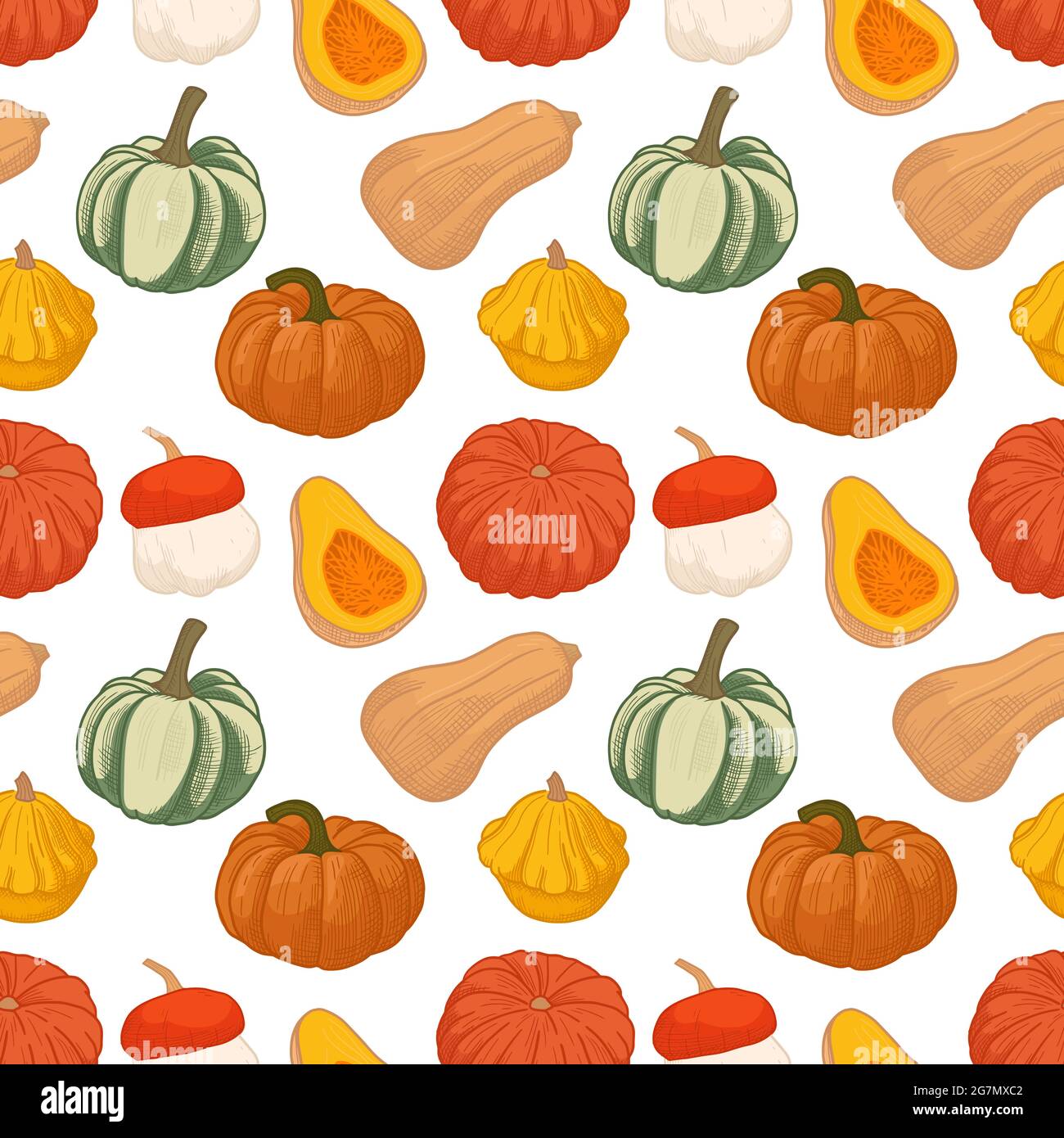 seamless pattern with Different autumn pumpkins. Vintage drawing of ...