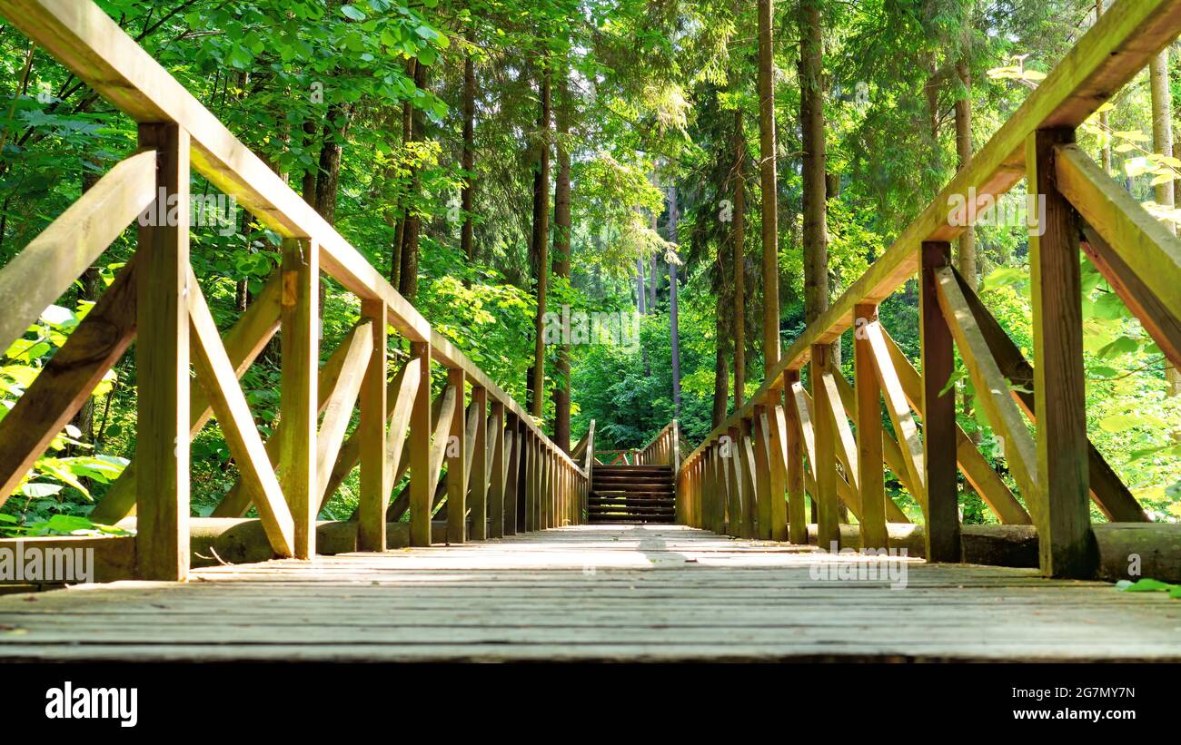 Close up path and decking hi-res stock photography and images - Alamy