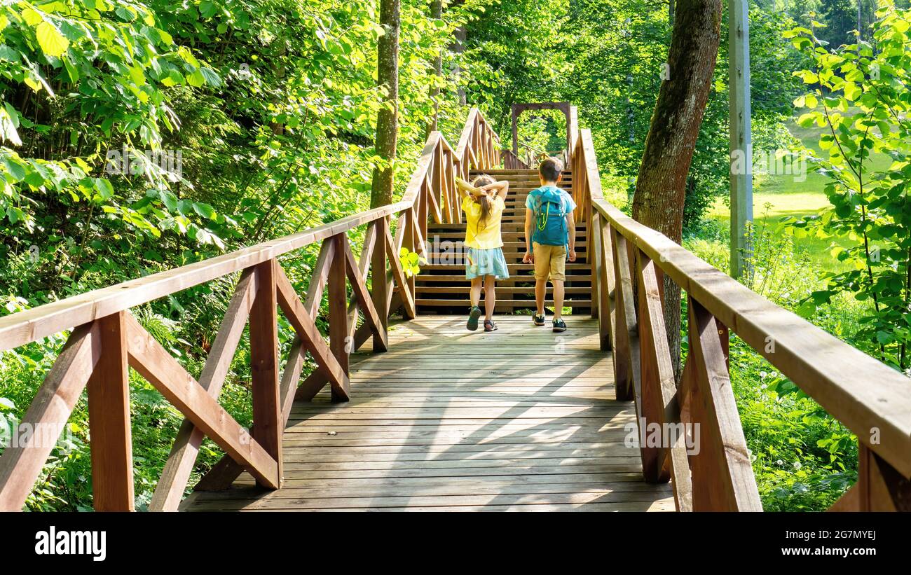 The road to the family campsite. Children walk along a hiking trail ...