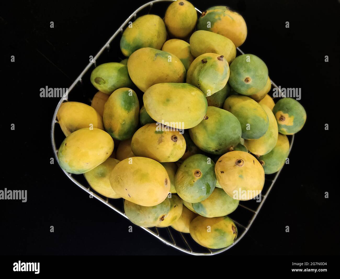 Top view of delicious yellow-green Alphonso mangoes in a metal basket ...