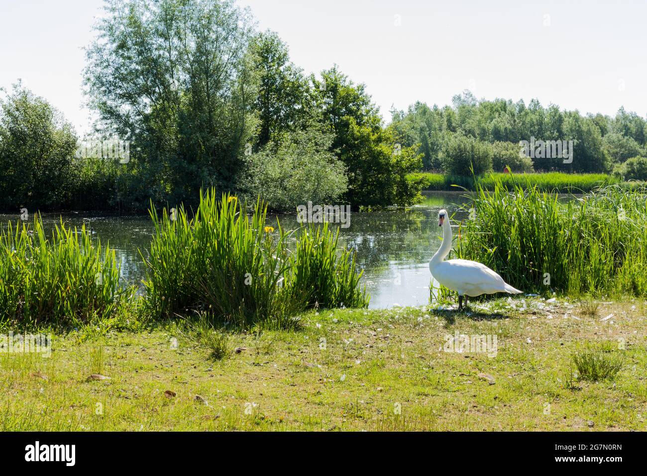 Longham hi-res stock photography and images - Alamy