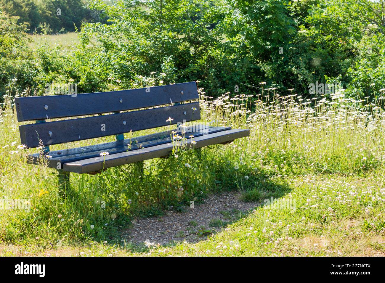 Empty wooden bench hi-res stock photography and images - Alamy