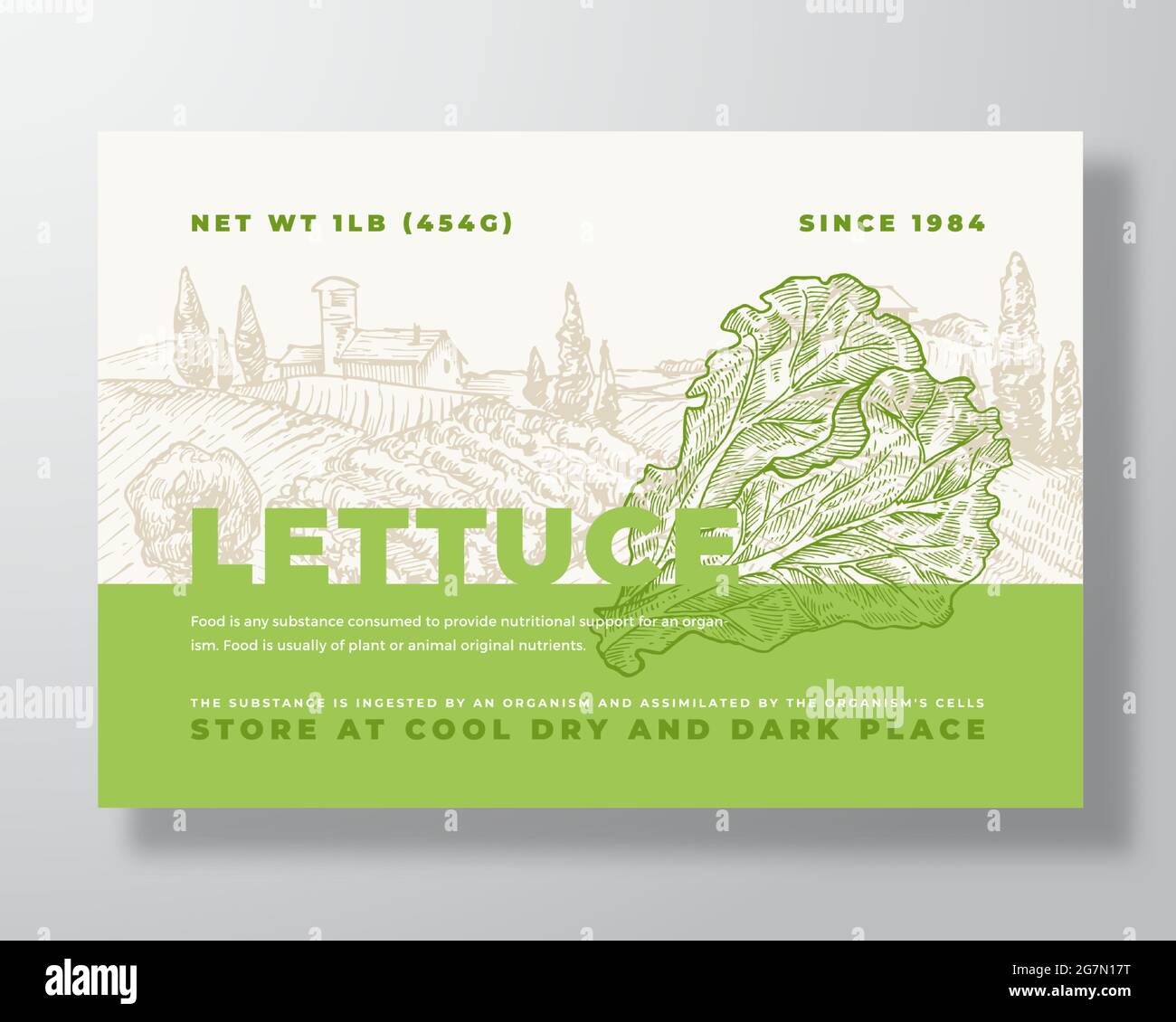 Lettuce Label Template. Abstract Vector Packaging Design Layout. Modern ...