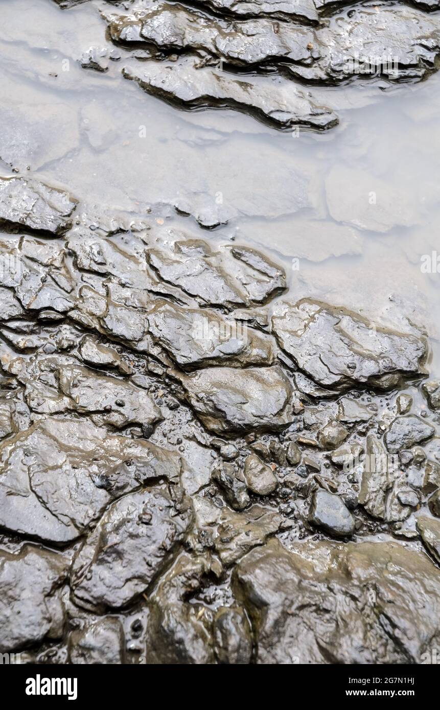 Wet rock in a puddle of water Stock Photo - Alamy