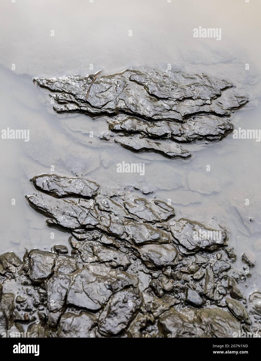 Wet rock in a puddle of water Stock Photo - Alamy