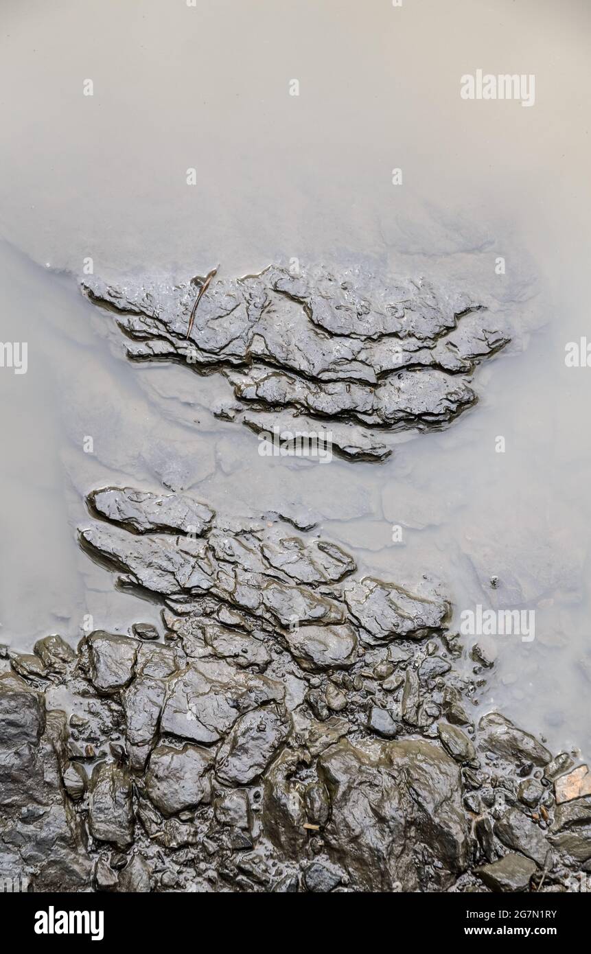 Wet rock in a puddle of water Stock Photo - Alamy