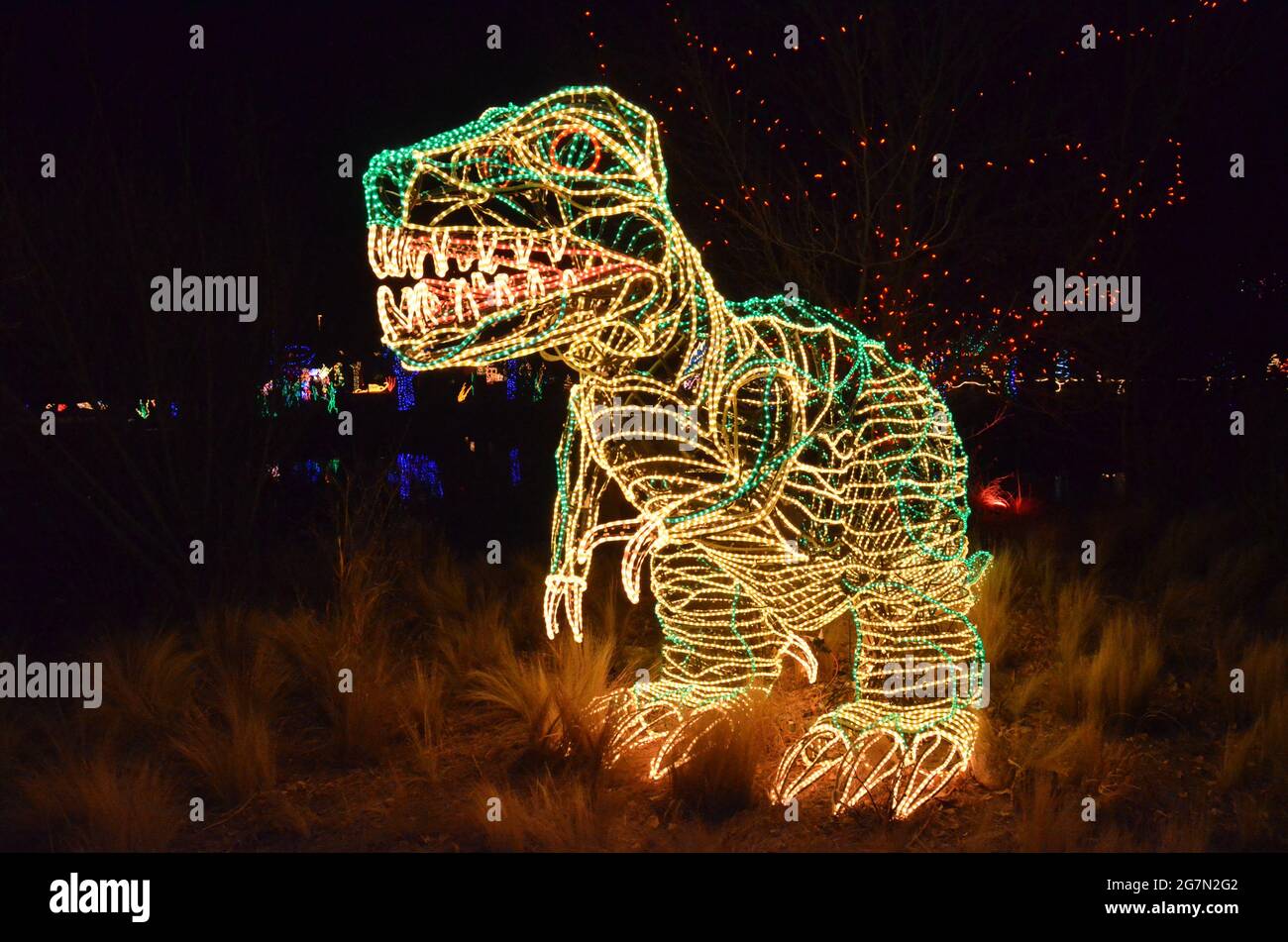 River of Lights festival at ABQ BioPark in Albuquerque, New Mexico ...