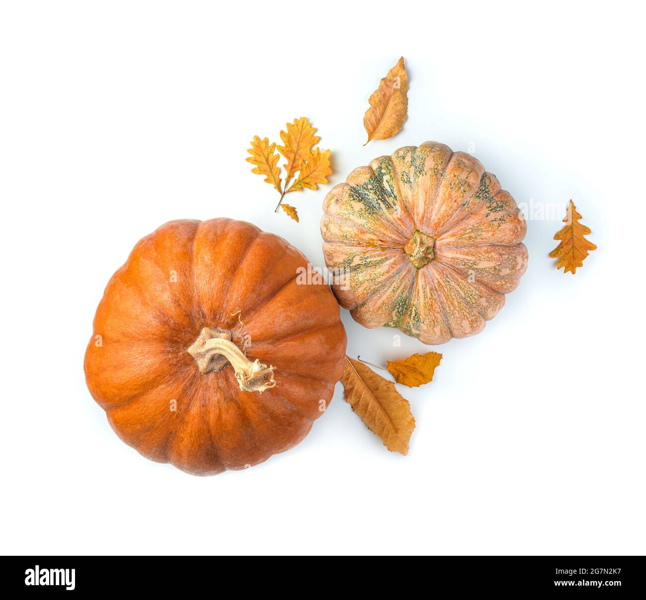 Autumn background hello november Cut Out Stock Images & Pictures - Alamy