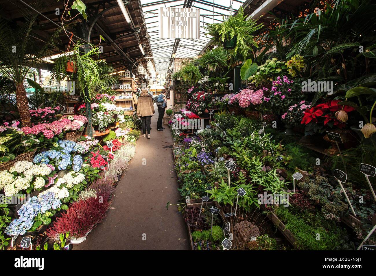 Marche aux fleurs elizabeth ii hi-res stock photography and images - Alamy