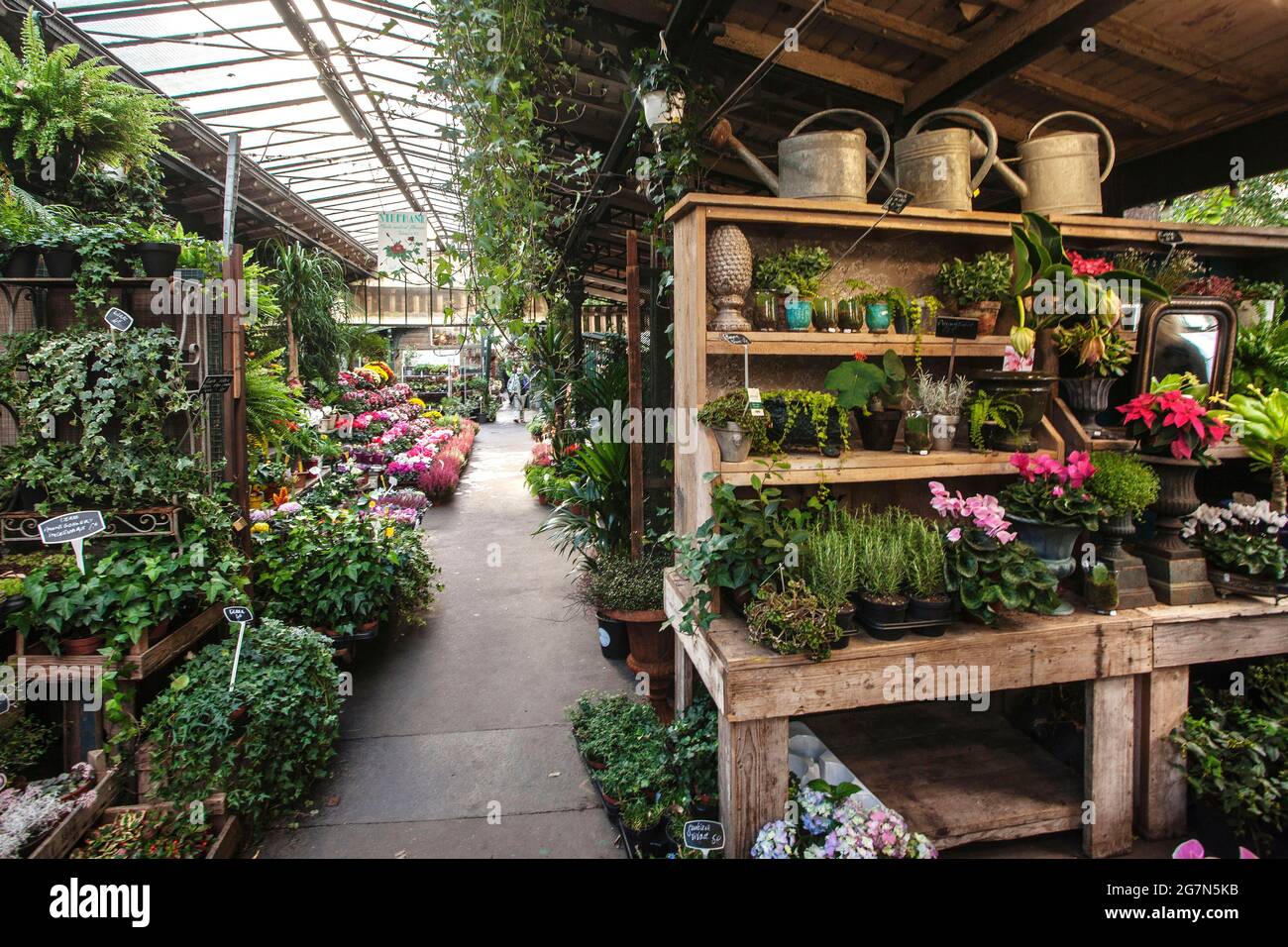 Paris flower market ile de la cité hi-res stock photography and images ...