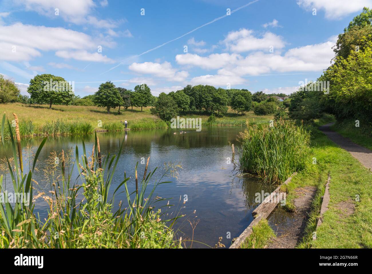 Warrens hall local nature reserve hi-res stock photography and images ...