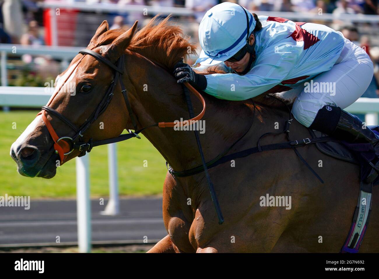 Mollie phillips hi-res stock photography and images - Alamy