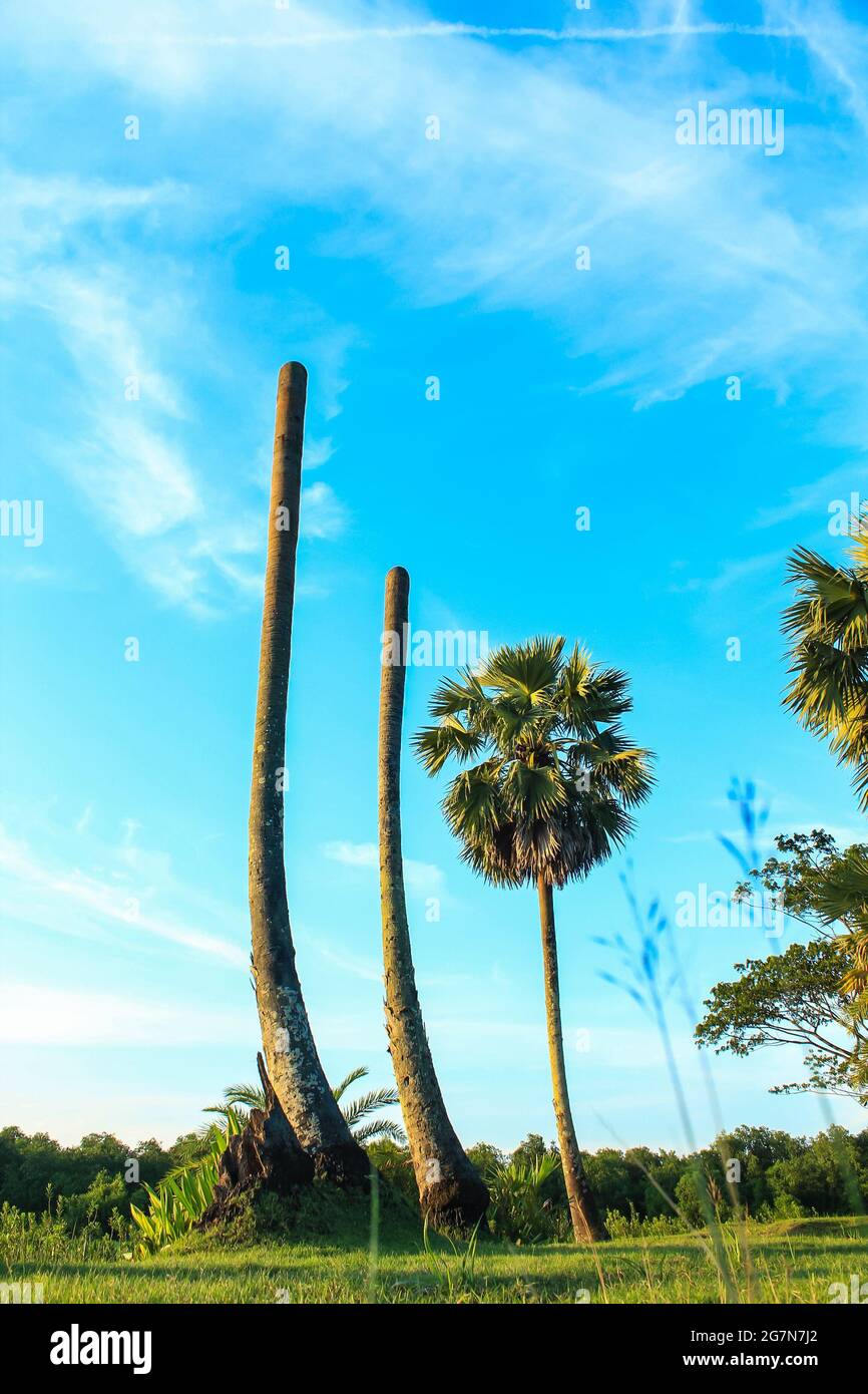 Beautiful natural view hi-res stock photography and images - Alamy