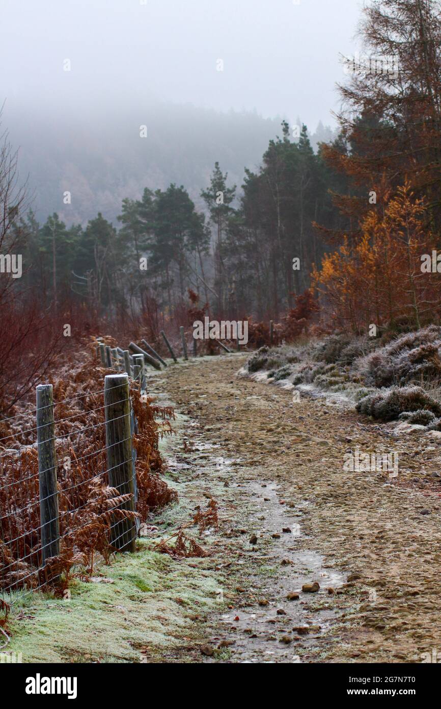 Langsett Reservoir on a Frosty & Misty Morning Stock Photo - Alamy