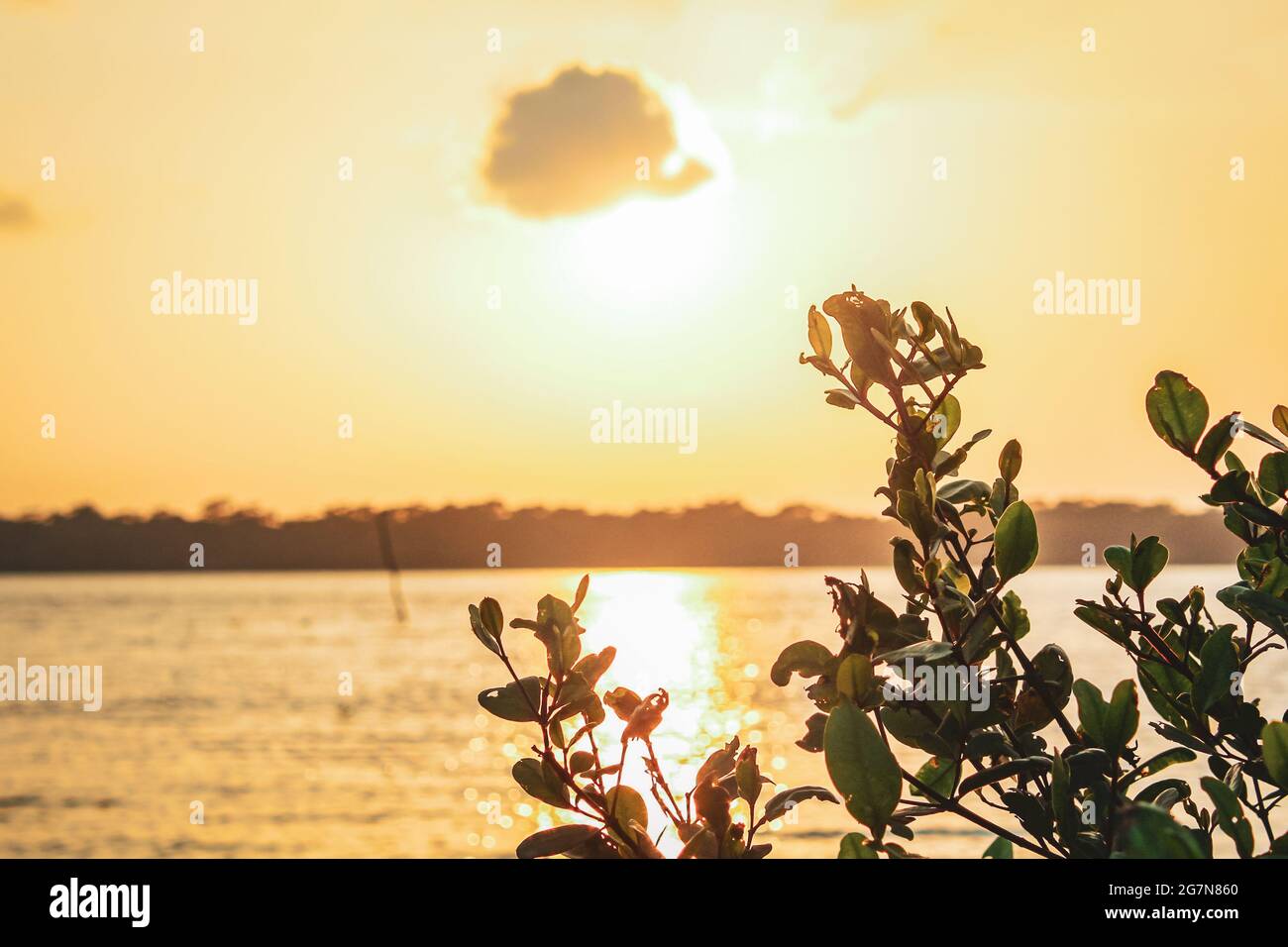 Bangladeshi beautiful river site sunset view.new image Stock Photo - Alamy