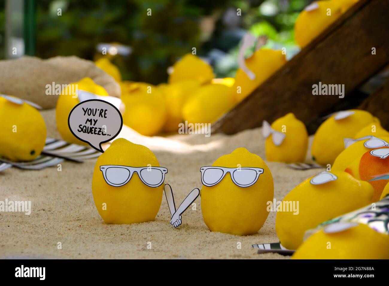 Perspex enclosed beach scene display with lemons and a sign you're my ...