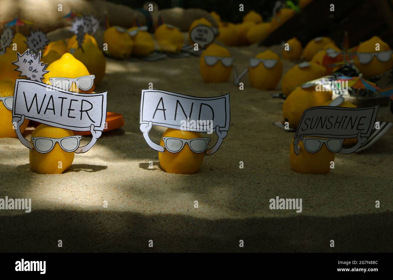 Perspex enclosed beach scene display with lemons holding signs water ...