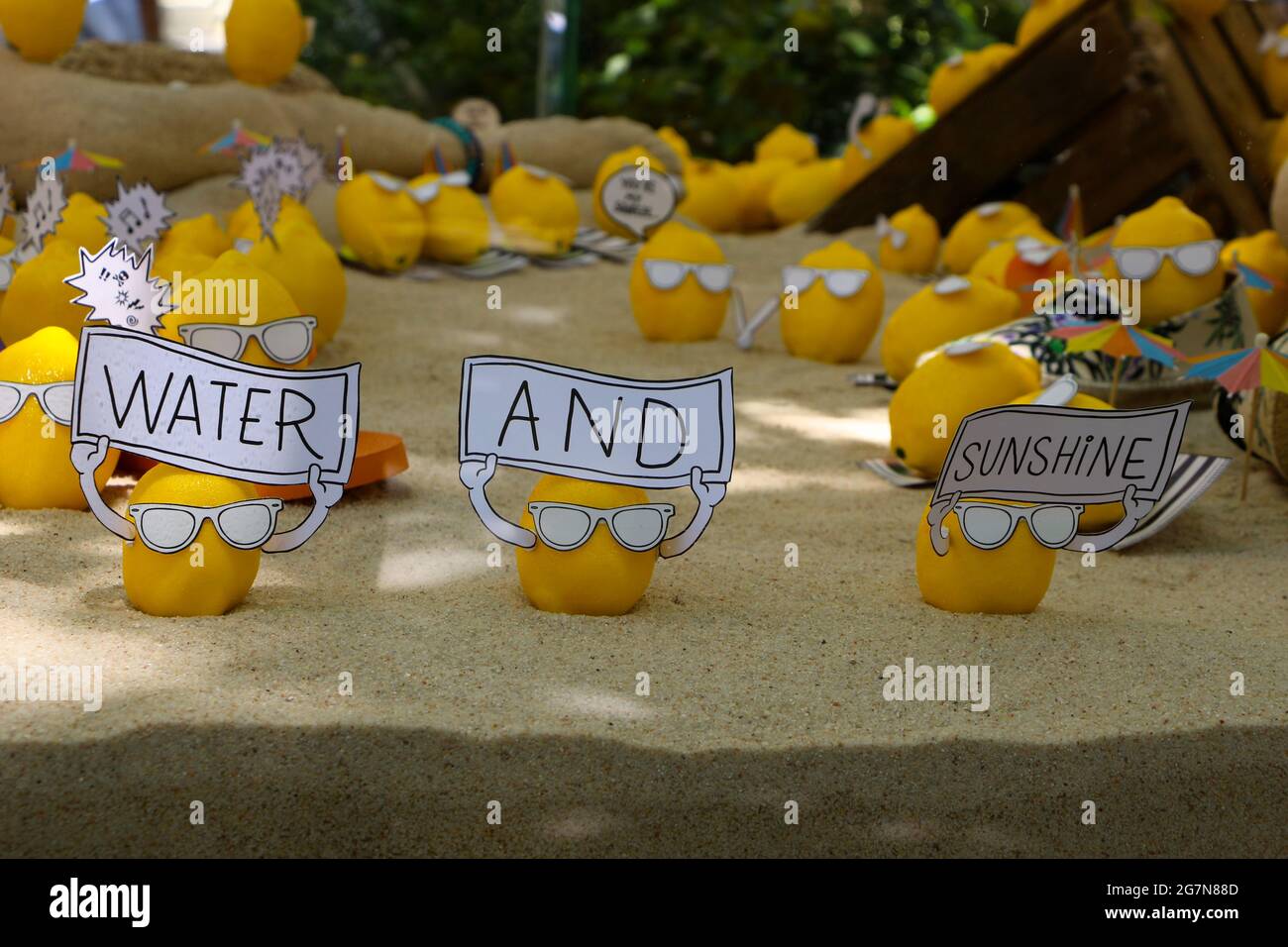 Perspex enclosed beach scene display with lemons holding signs water ...