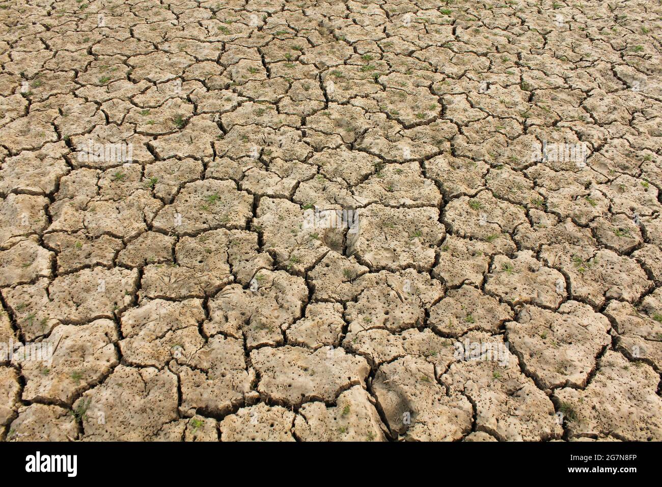 Dried up field cracked ground hi-res stock photography and images - Alamy