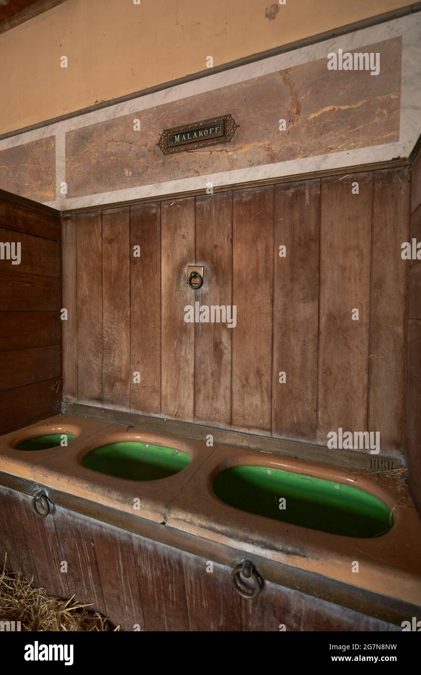 Possibly the finest stables in the world at Manderston House in the ...