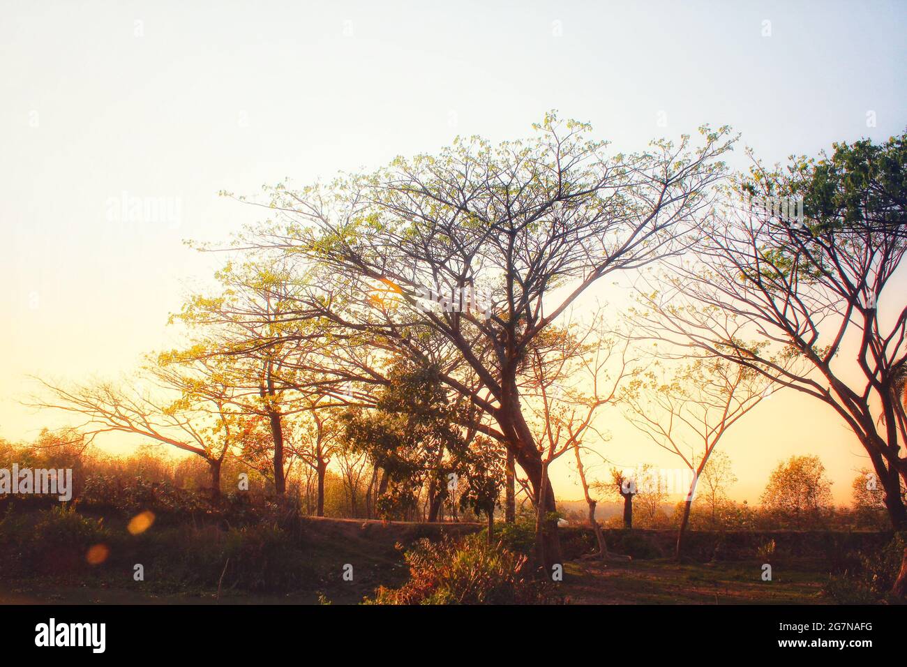 Weather summer season sun hi-res stock photography and images - Alamy