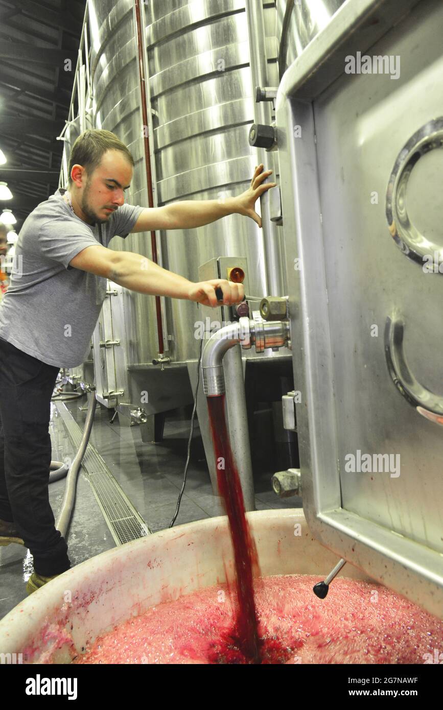 FRANCE. GIRONDE (33). WINE ROUTE ON SAINT-EMILION. SAINT-LOUBES. THE ...