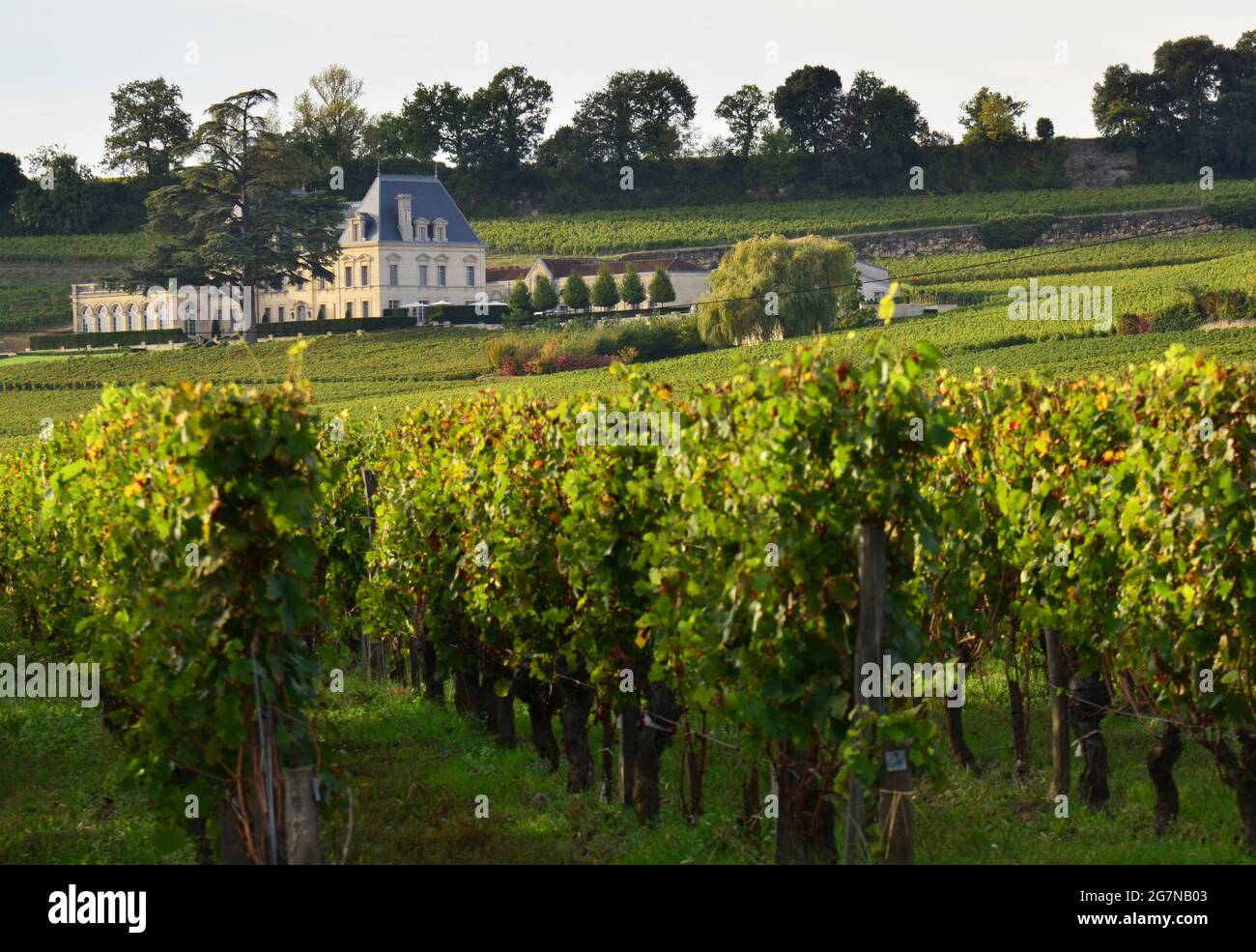 FRANCE. GIRONDE (33). WINE ROUTE ON SAINT-EMILION.VINEYARDS AUROUND THE ...