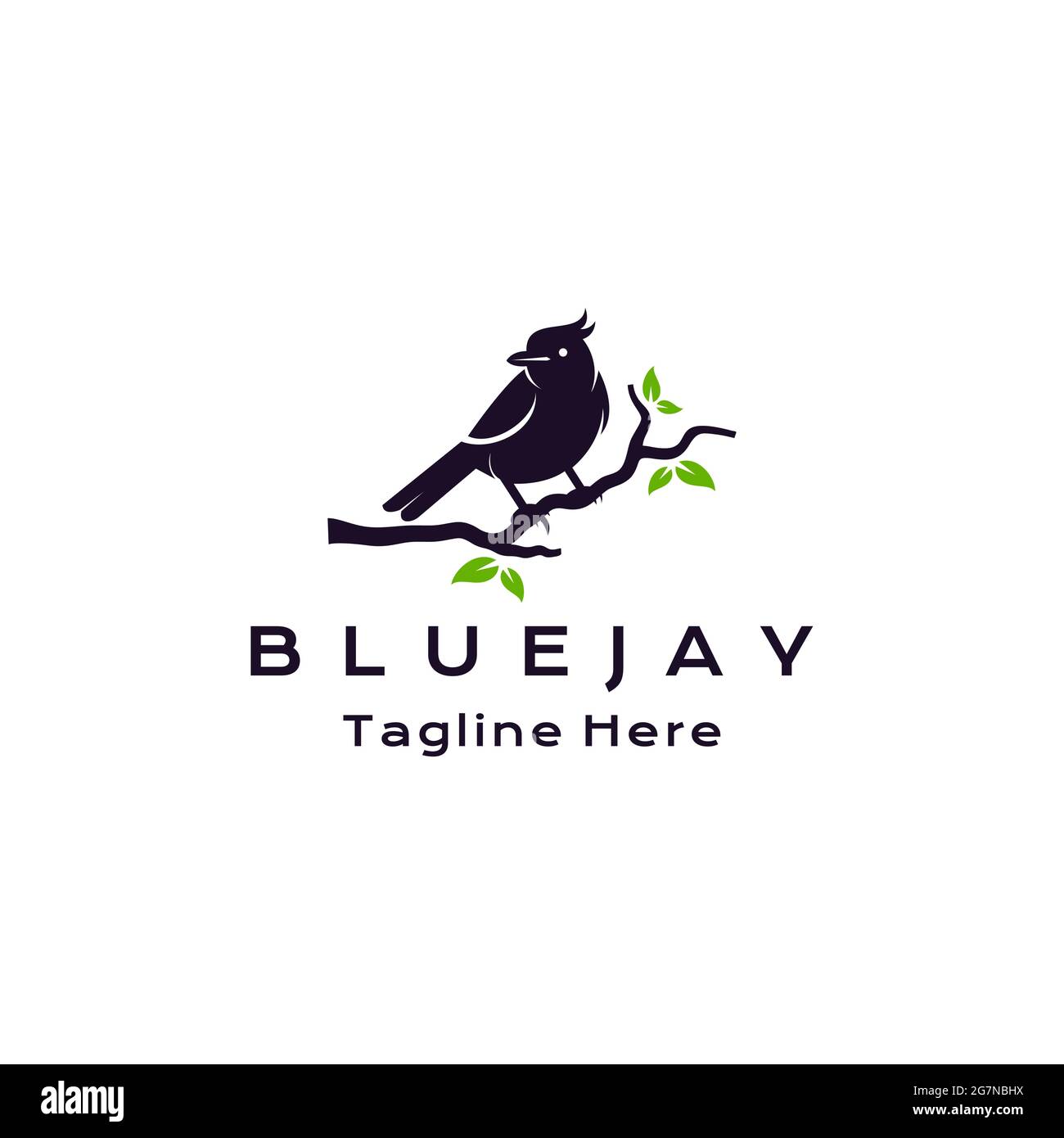 Jay Bird Logo Mascot Blue Jay Bird Head Logo Design Template Vector