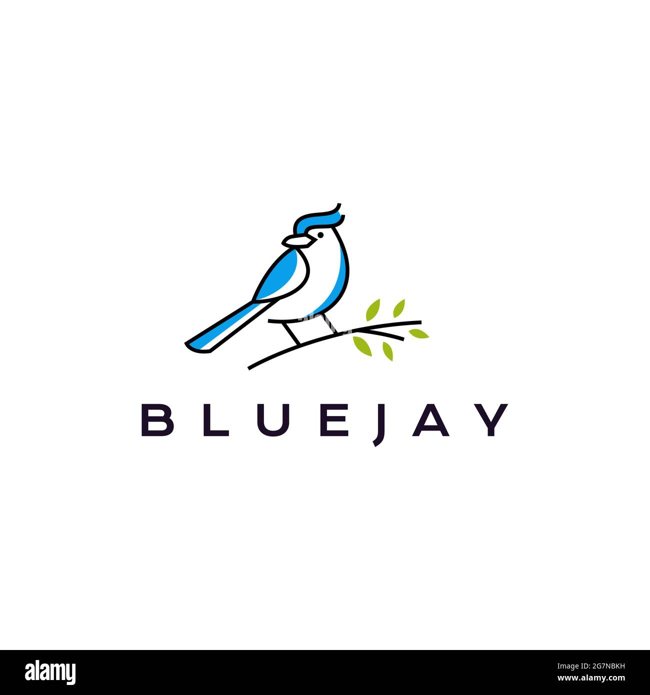 Blue jay bird logo design vector illustration Stock Vector Image & Art ...