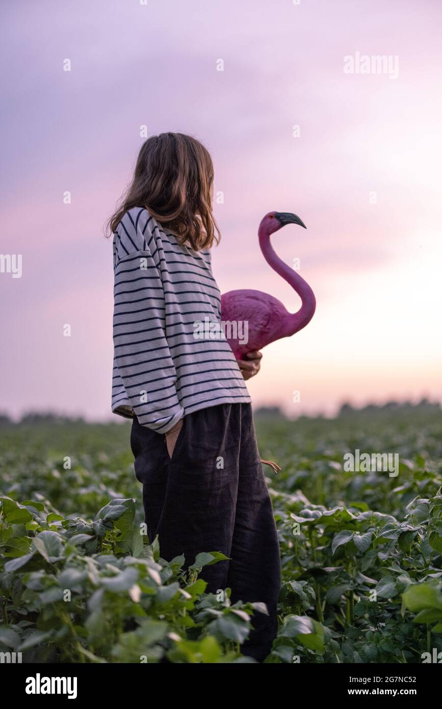 Flamingo field hi-res stock photography and images - Alamy