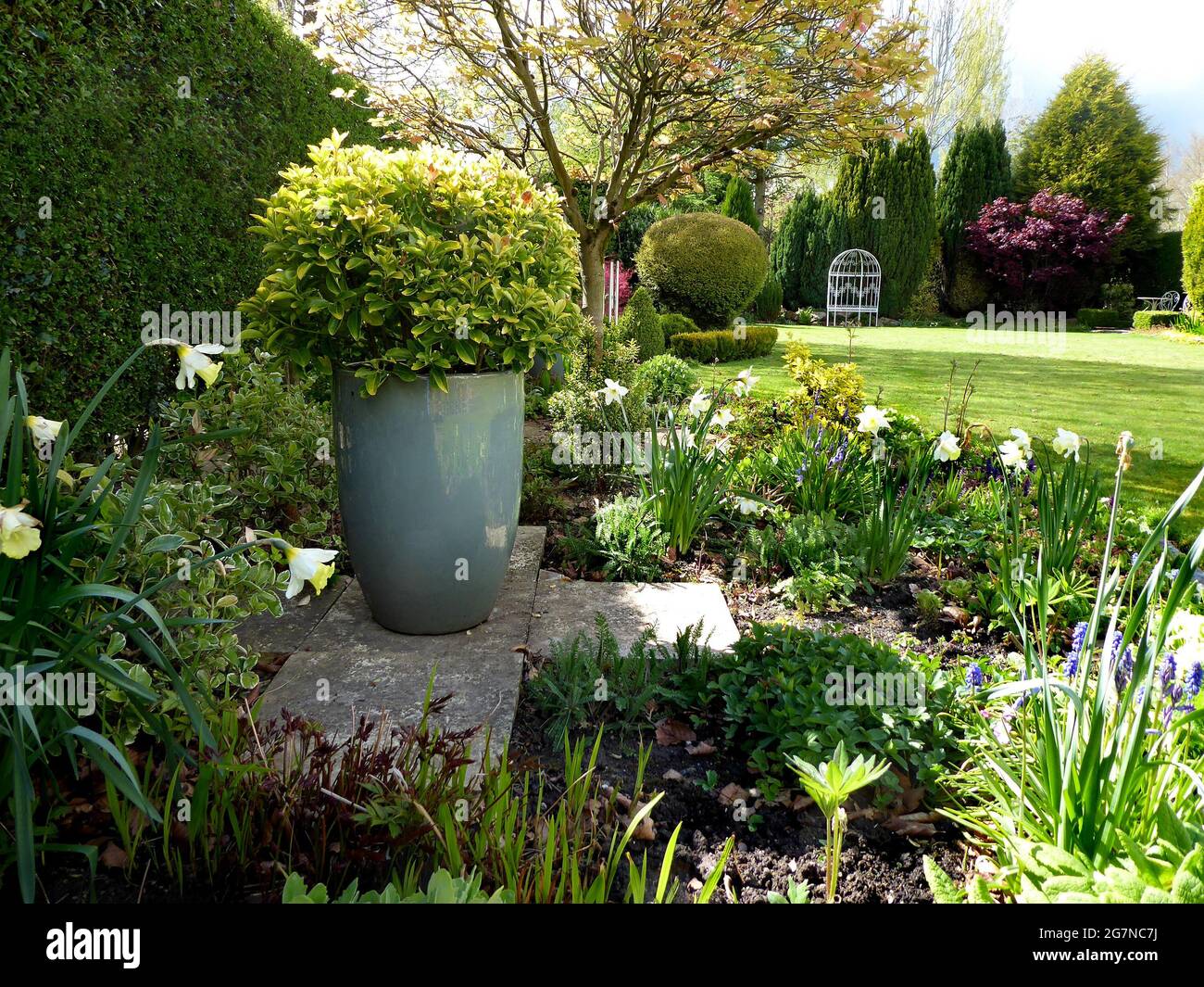 Spring Time in an English garden Stock Photo - Alamy
