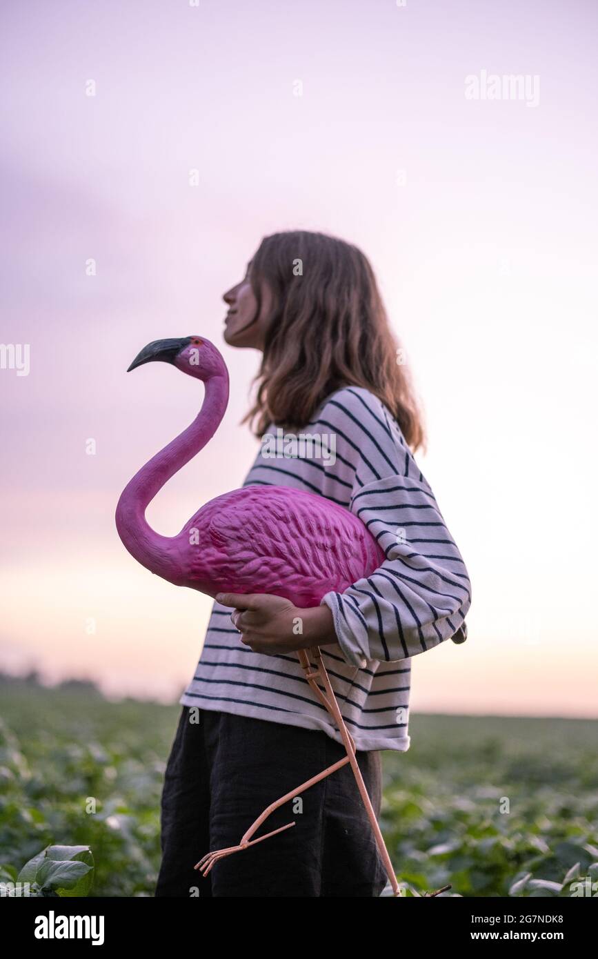 Flamingo field hi-res stock photography and images - Alamy