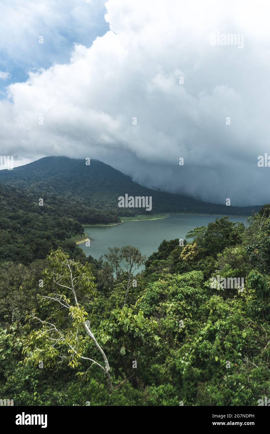 Kebun Raya Bali Lake View Spot Candikuning Indonesia Stock Photo - Alamy