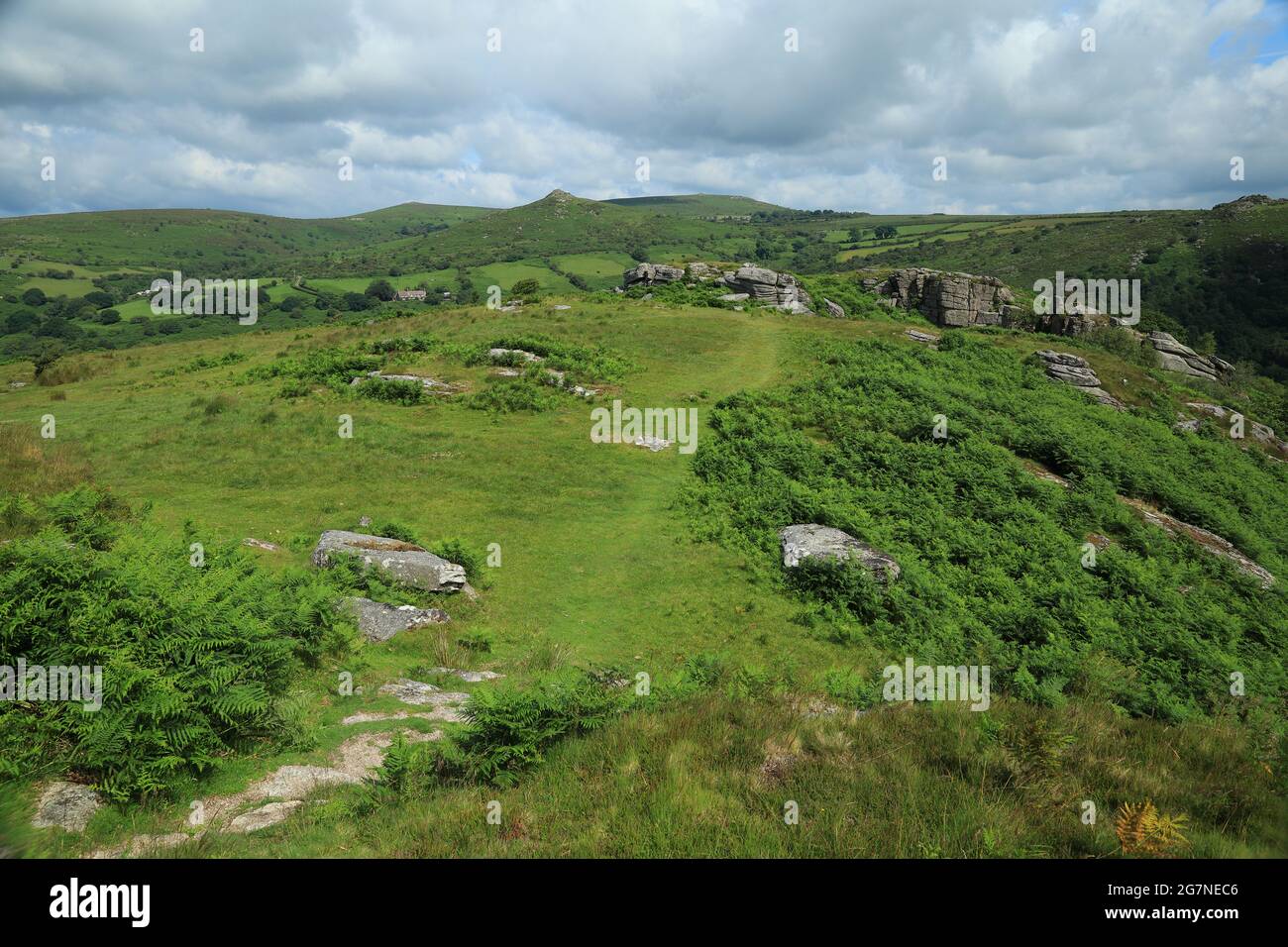Summer view Bench tor towards Sharp tor, Dartmoor National Park, Devon ...