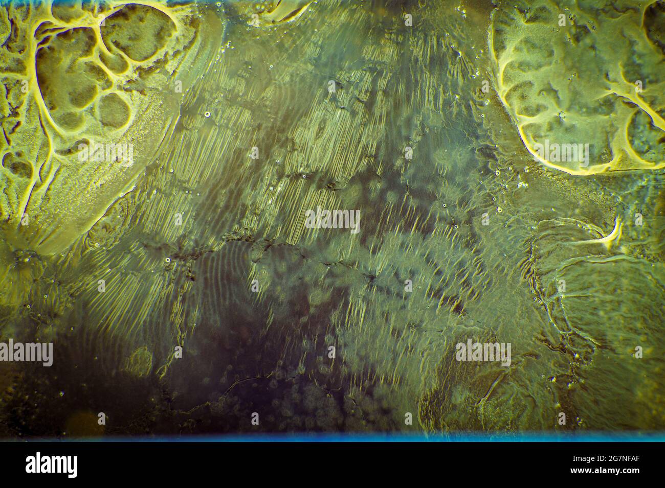 Tainted food hi-res stock photography and images - Alamy